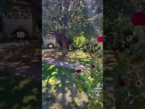 Must See Secret Spot in San Jose, California