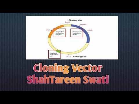 Cloning Vector. Characteristics, Types & Application of Cloning Vector