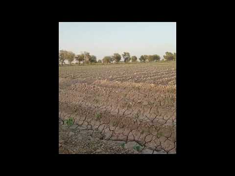 Working on my fallow land