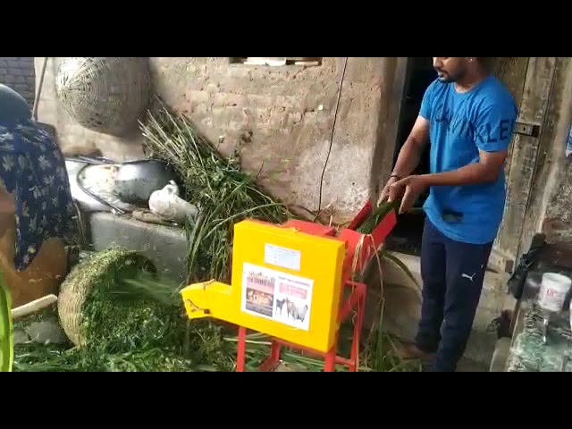 Animal Husbandry - Modern Dairy Chaff Cutters Trader - Wholesaler ...
