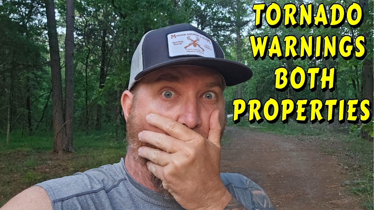 BIG STORMS HIT HARD |tiny house, homesteading, off-grid, cabin build, DIY HOW TO tractor tiny cabin