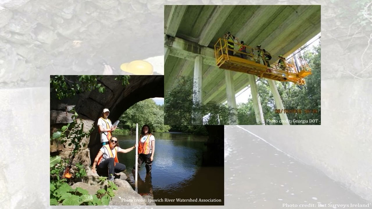 Virtual bat and transportation structures assessment training