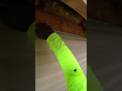 Soffit installation #construction #siding #jobs #skills #tips #tricks #