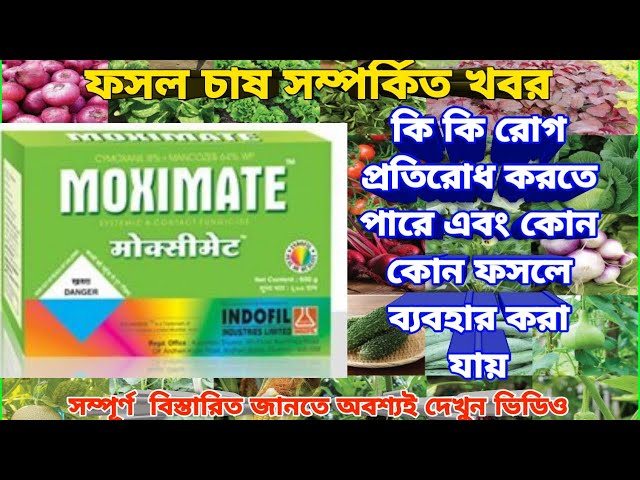 Agricultural Fungicides - Indofil Sprint Fungicide Wholesale ...