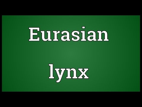 Eurasian lynx Meaning