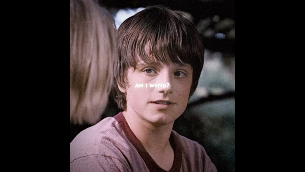 this movie 😭💛 #bridgetoterabithia #joshhutcherson #annasophiarobb #sadmovie #school #booktube