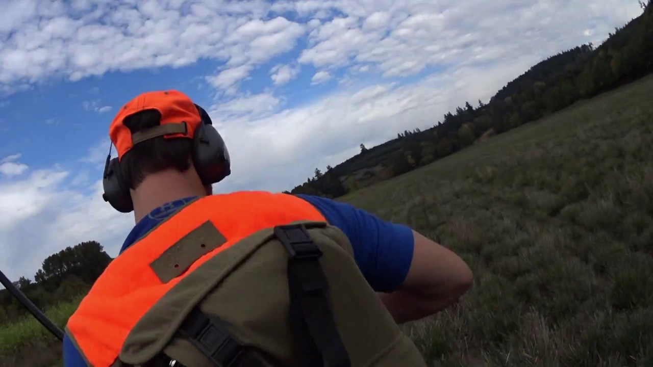 Kent's Pheasant hunt
