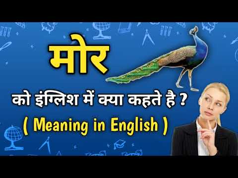 मोर को अंग्रेजी में क्या कहते है | Mor meaning in English
