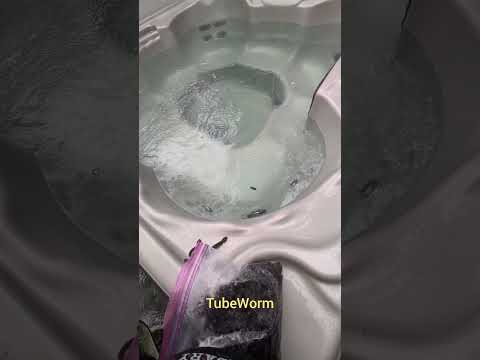 🪱 Pigtail Worm Canister Mold CAD File・Archivo 3D para Impresión 3D・Cults