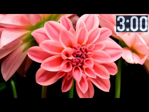 3 Minute Timer with Classical Music | Relaxing | Focus | Piano Instrumental | Seasonal Change
