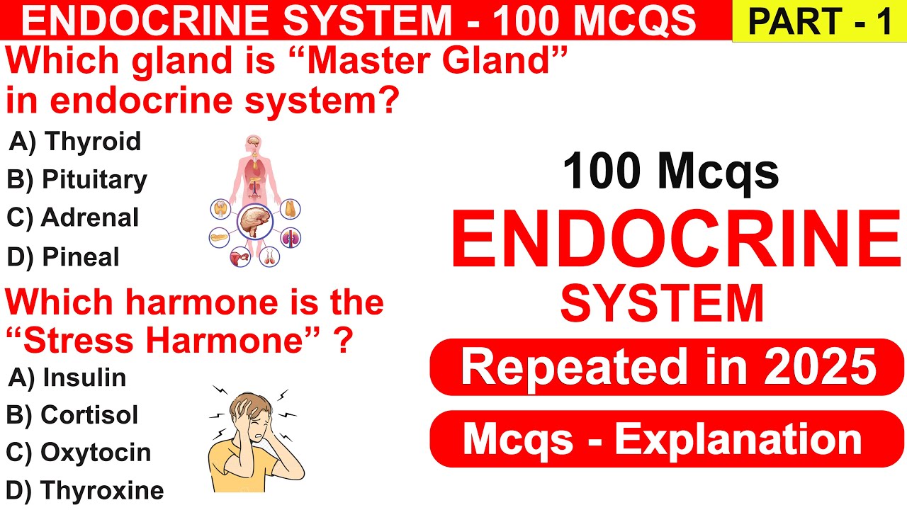 Endocrine Glands mcqs | Endocrine system anatomy and physiology | hormone mcq | #endocrinegland