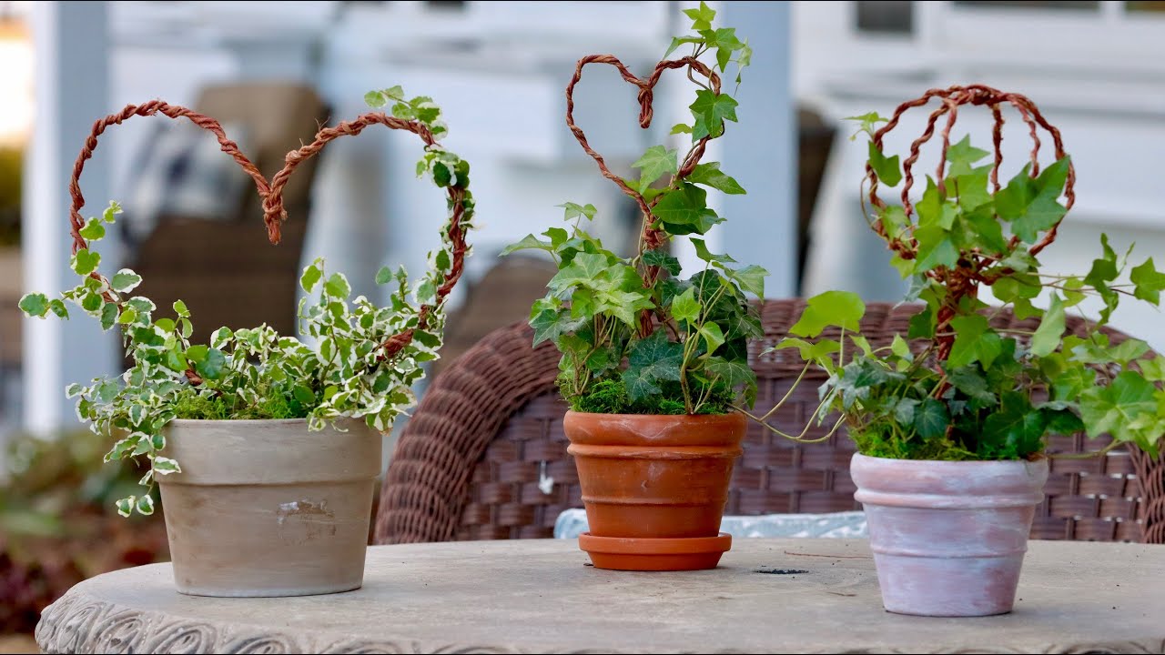 DIY Wire Topiaries for Houseplants! ❤️🌿 // Garden Answer