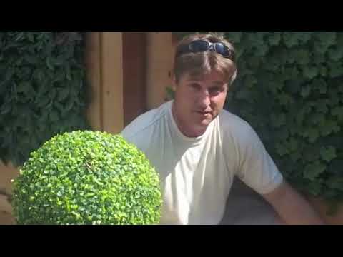 Outdoor Artificial Hedges, Exterior Artificial Foliage and DIY Tips