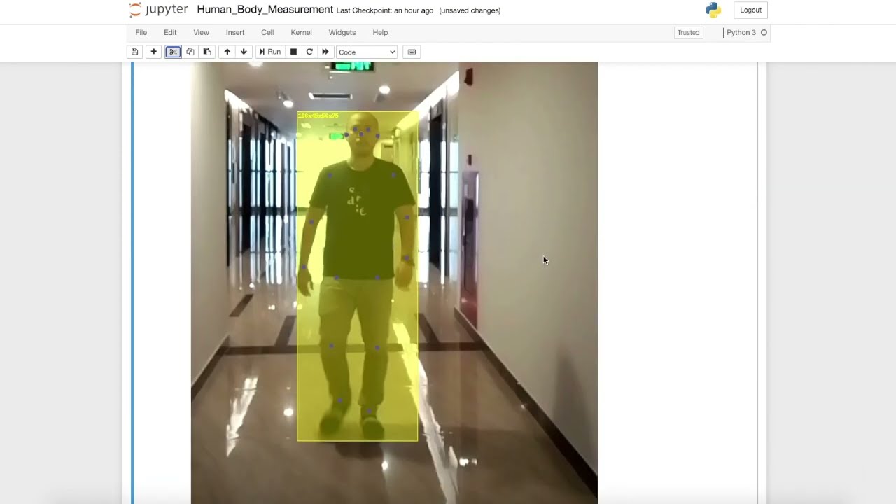 Keypoints Detection and Visualization with Pytorch