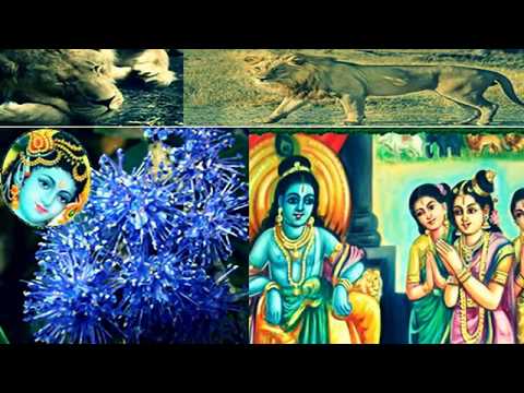 #Andal #Thirupavai #Pasuram 23 Explanation | Meaning in English - Maari malai - Krishna grace us