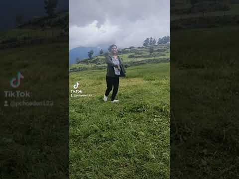 Green pastures