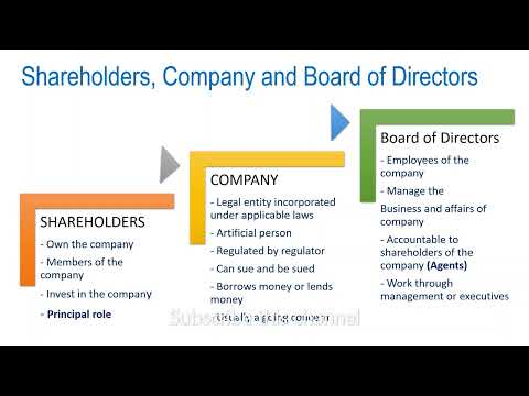 What is the relationship between Shareholders and Board of Directors