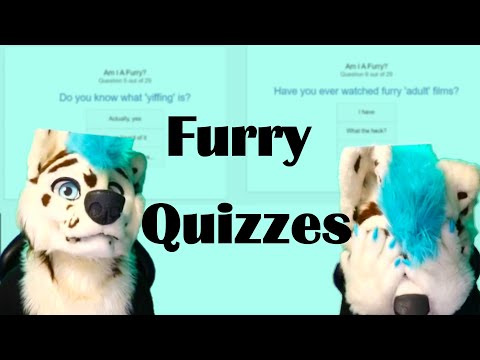 Comet Tries Furry Quizzes