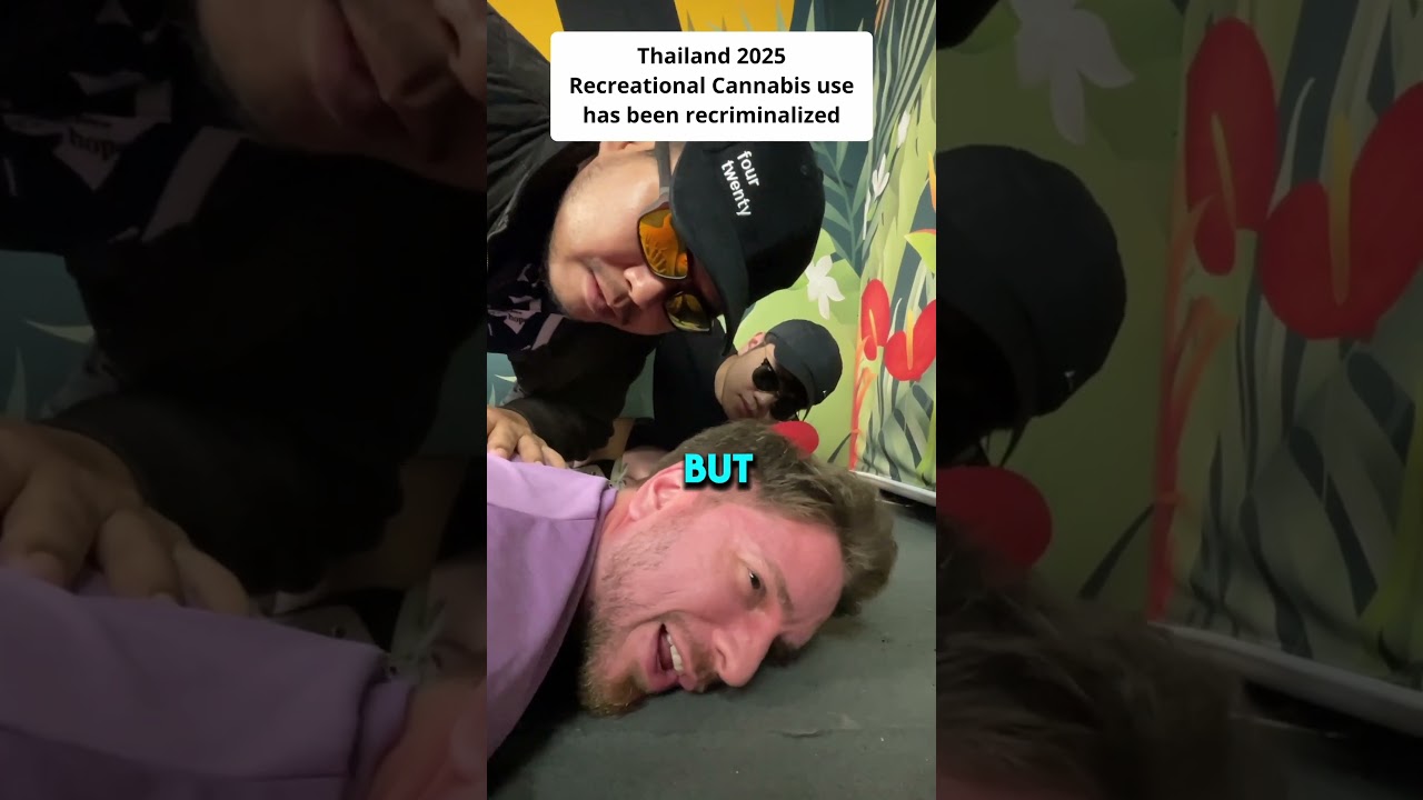 Thailand 2025: Recreational cannabis has been recriminalized. #funny #funnyvideos #bangkok #thailand