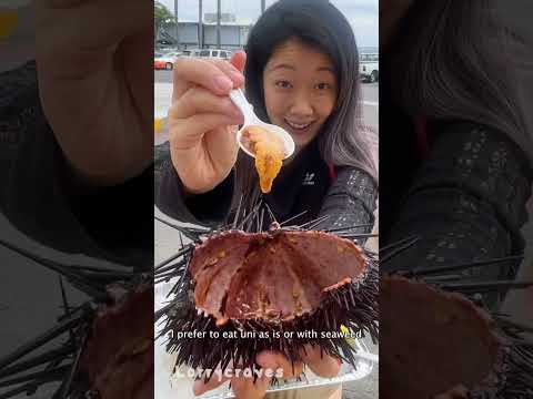 What’s your experience with sea urchin?