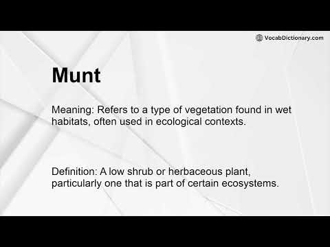 Munt Meaning