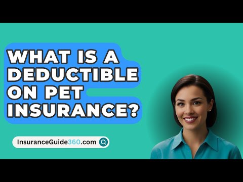 What Is A Deductible On Pet Insurance? - InsuranceGuide360.com