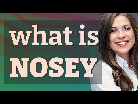 Nosey | meaning of Nosey