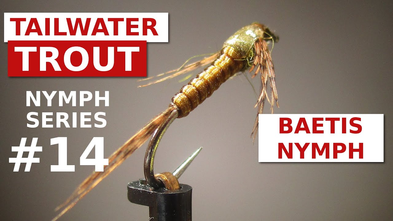 Baetis Nymph Pattern - Trout Fly Tying for Beginners