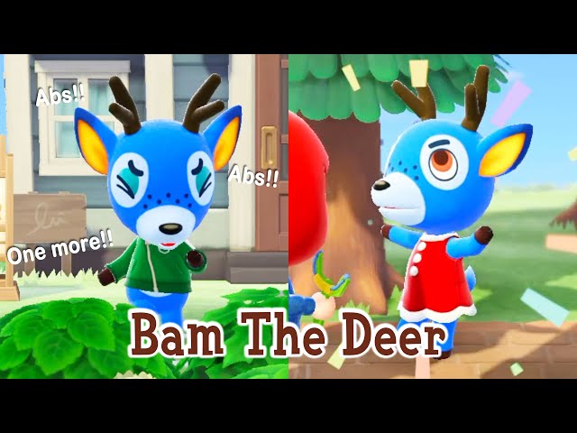 Bam in Animal Crossing: How to Get, Appearance, Roles