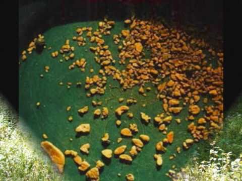 gold claim for sale | mining claims for sale