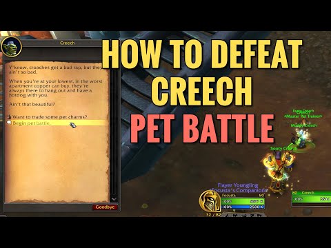 How To Defeat Creech (Pet Battle) (WoW TWW)