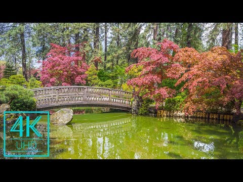 Parks & Gardens - 4K TV Wallpapers Slideshow for Lounges, Office Rooms, Lobbies - 3 HRS (NO SOUNDS)