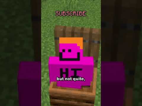 the REAL smallest house in minecraft.