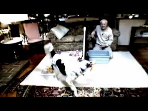 Chaser the Dog and Language Acquisition.f4v