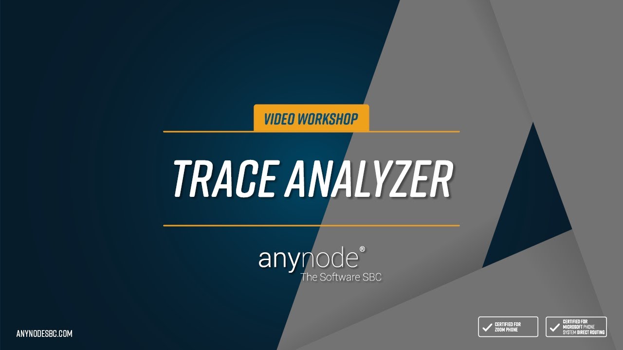 anynode 08 - Trace Analyzer (engl.)