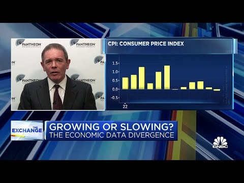 Investor skepticism grows on Fed reaching rate goal, says Pantheon's Ian Shepherdson