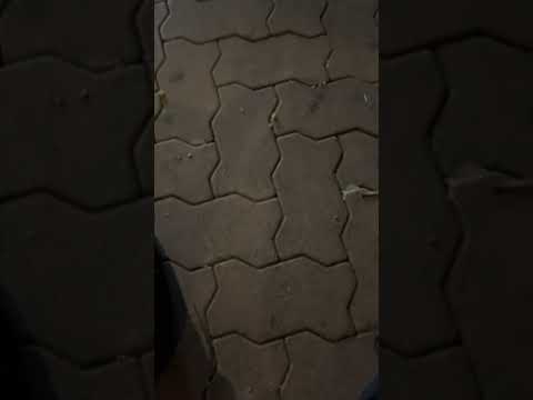 Pitokarto
