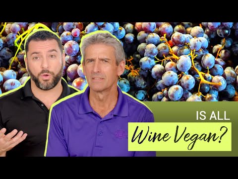 Is All Wine Vegan?