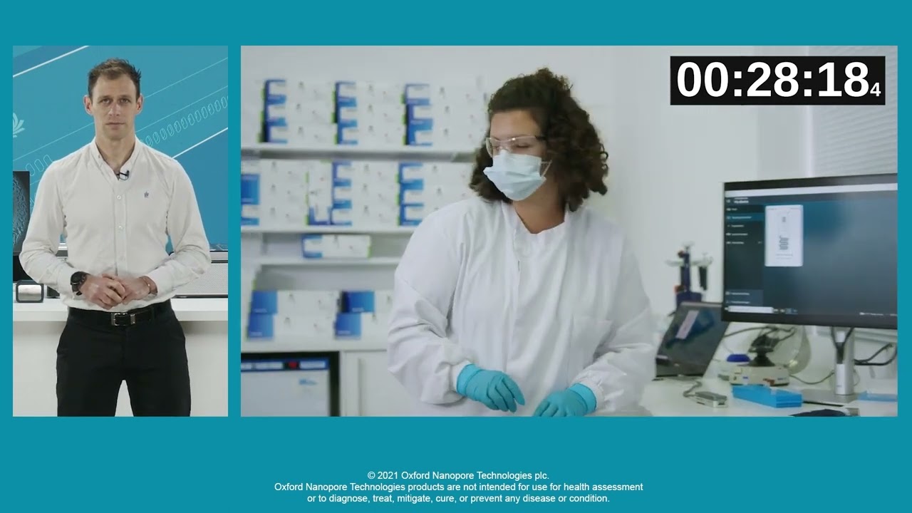 Plasmid sequencing, assembly and analysis workflow