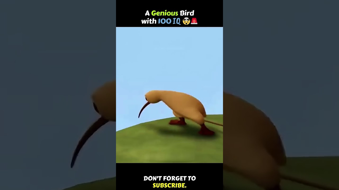 Genius Bird of 100IQ Tiny Birds Big Dream #BirdStory