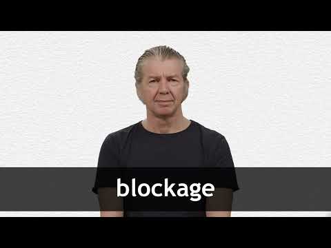 BLOCKAGE definition and meaning | Collins English Dictionary