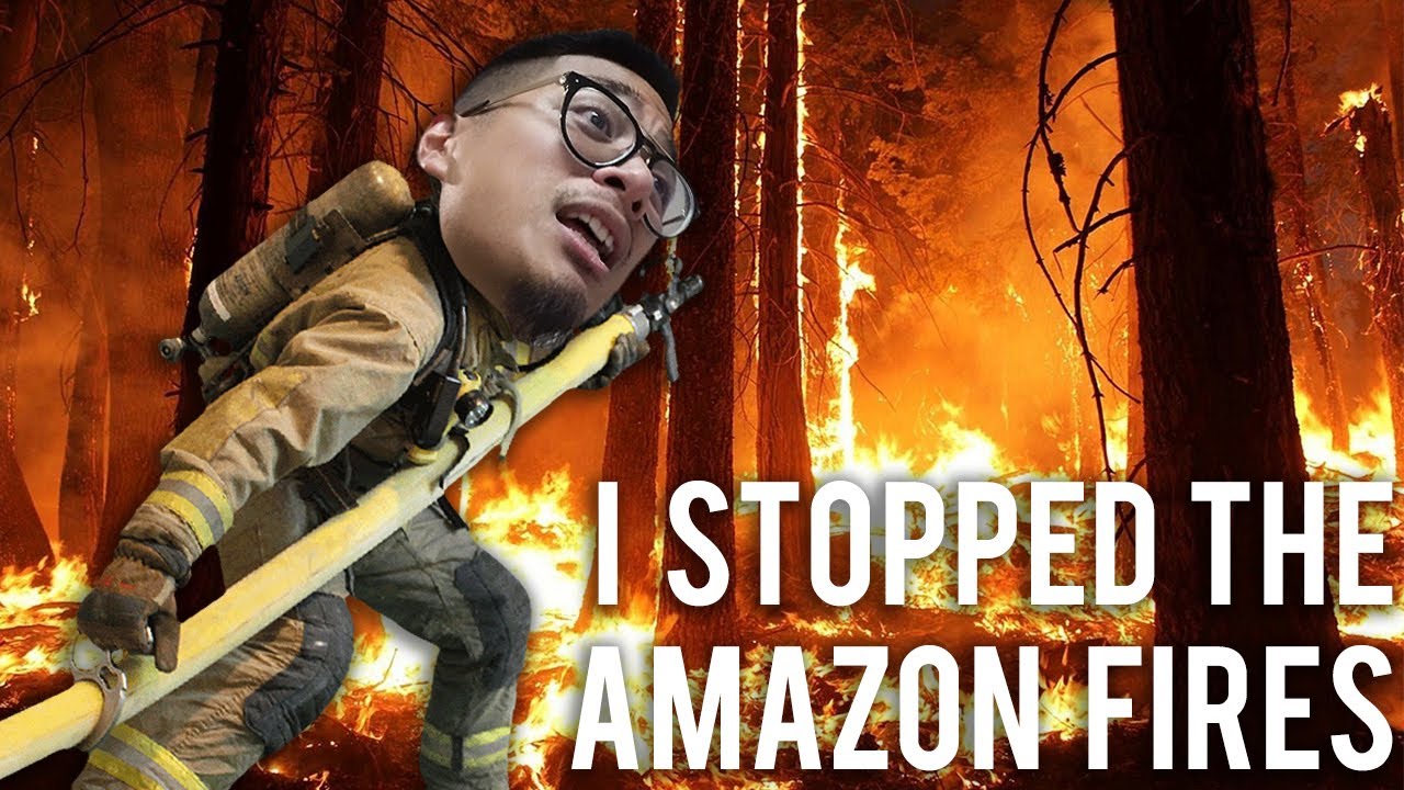 How I Stopped the Amazon Rainforest Fire