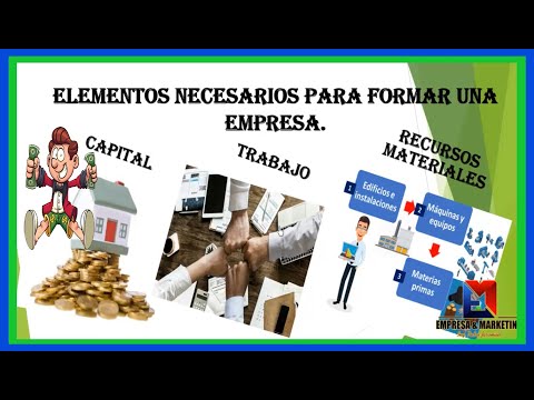 Cómo se clasifican las empresas, tipos de empresas a nivel mundial.