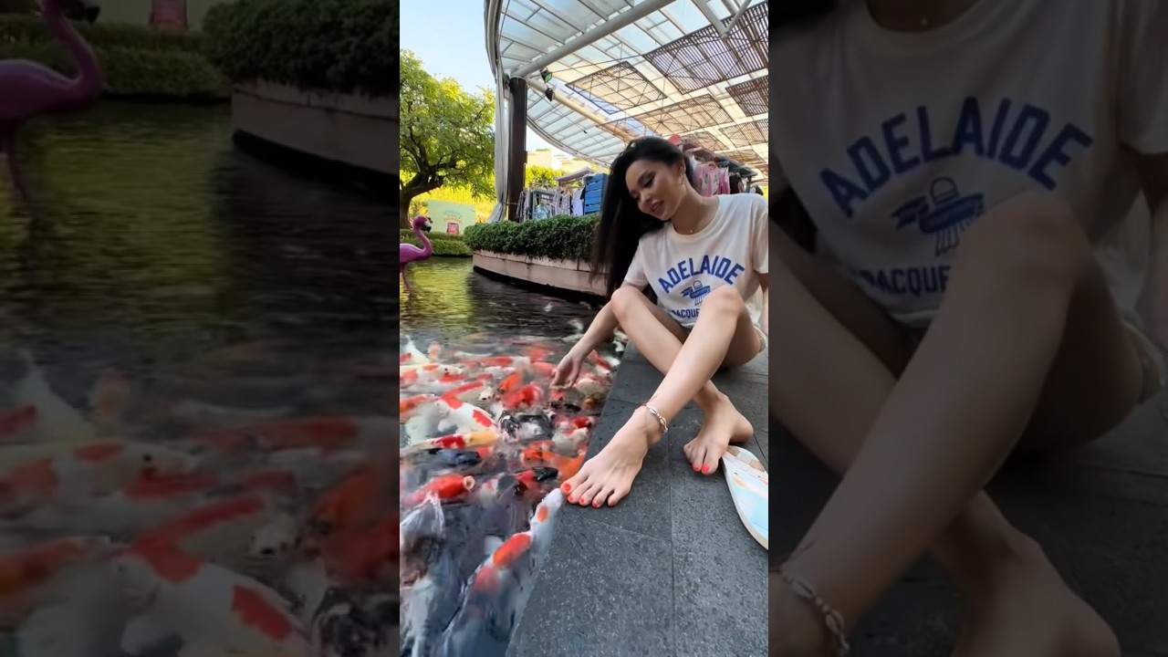 I'm afraid to give them my feet 🤪 #feet #fypシ #shortvideo #fish