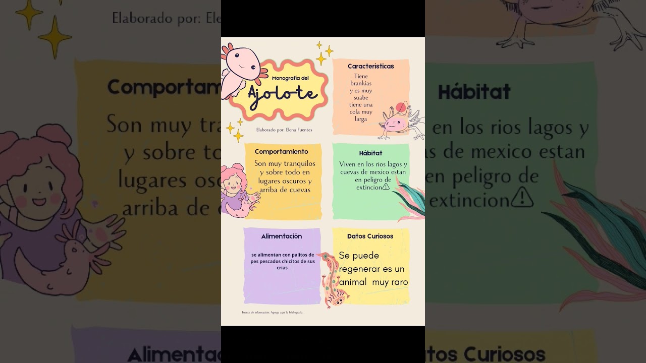 informacion de ajolote