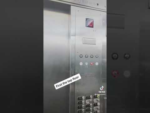 Elevator Game at the Cecil hotel 🏨