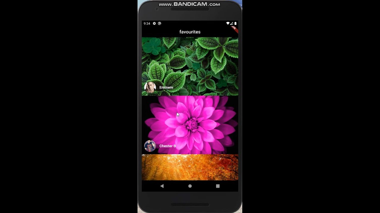 Hero Animation with List View Flutter by - VishuApps