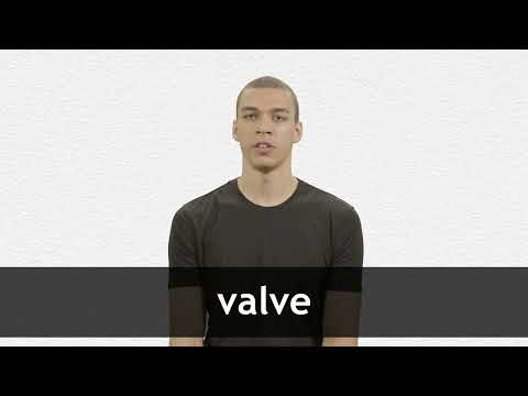 How to pronounce VALVE in American English