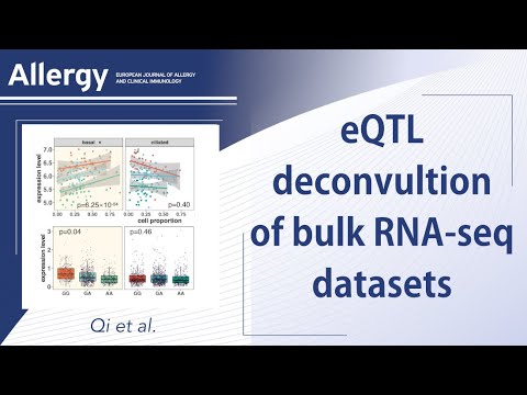 eQTL deconvolution of bronchial epithelium through integration of single-cell and bulk RNA-seq