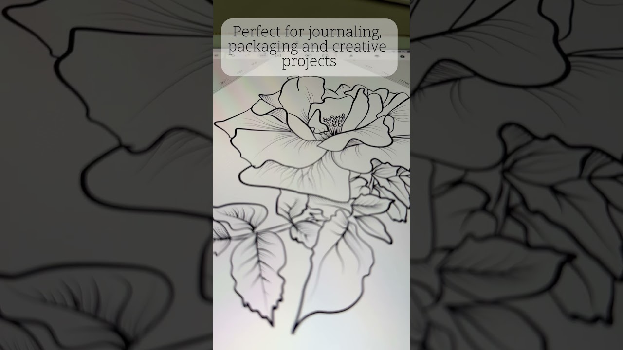 Printable Botanical Coloring Page — Hand-drawn Flower Sketch
